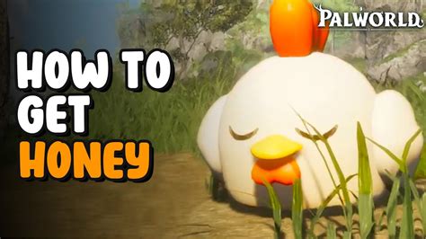 How To Get Honey Palworld Youtube