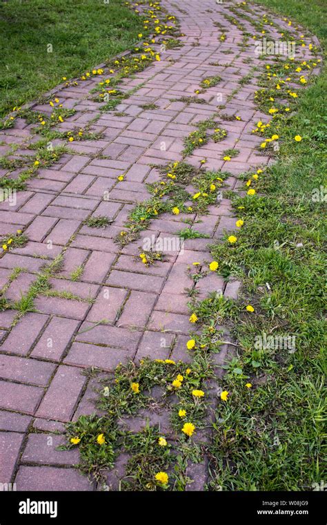 Curved Sidewalk Through Grass Hi Res Stock Photography And Images Alamy