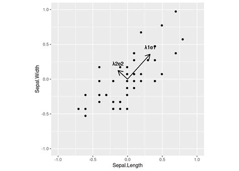 2 singular value decomposition