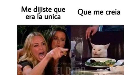 La historia detrás del meme del gato en la mesa que es furor en redes