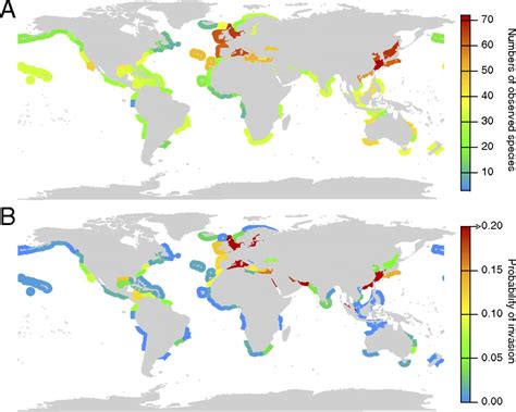 predicting the spread of marine species introduced by global shipping pnas