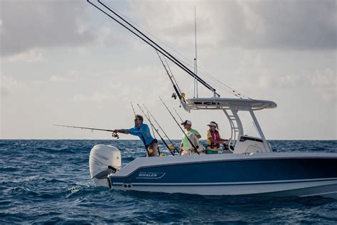 Tipos De Barcos Que Puedes Comprar Para Pescar N Utica Y Fichas De
