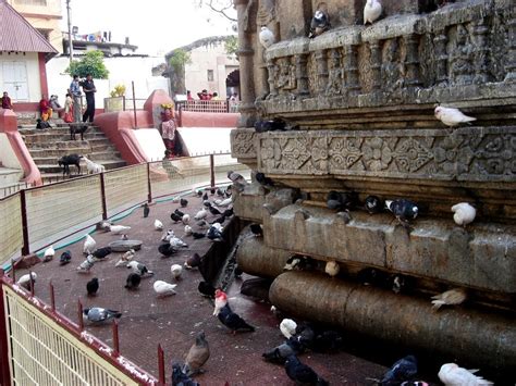 Kamakhya Temple Guwahati Assam Images Story Timing Holidify