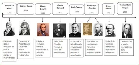 Plox Alguien Me Puede Ayudar Con Una Linea Del Tiempo De La Teoria