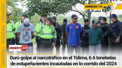 Duro golpe al narcotráfico en el Tolima 6 6 toneladas de