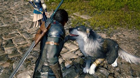 FFXVI Efforts For Torgal To Receive More Love And Affection Petting