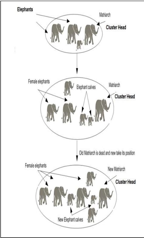 figure 2 from cluster based techniques leach and modified leach using optimized technique eho in