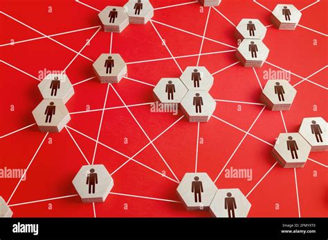 Red De Personas Conectadas Interacciones Entre Empleados Y Grupos De