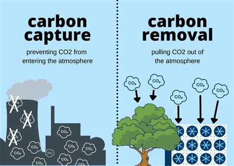 Getting To Net Zero New Policy Insights On The Role Of Carbon