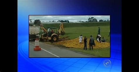 G1 Carreta Tomba Em Curva E Carga De Laranja Espalha Na Raposo