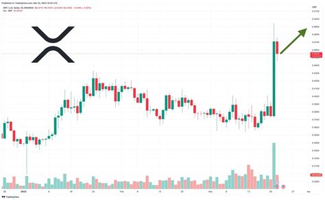Why XRP Is Going Up Robots Net