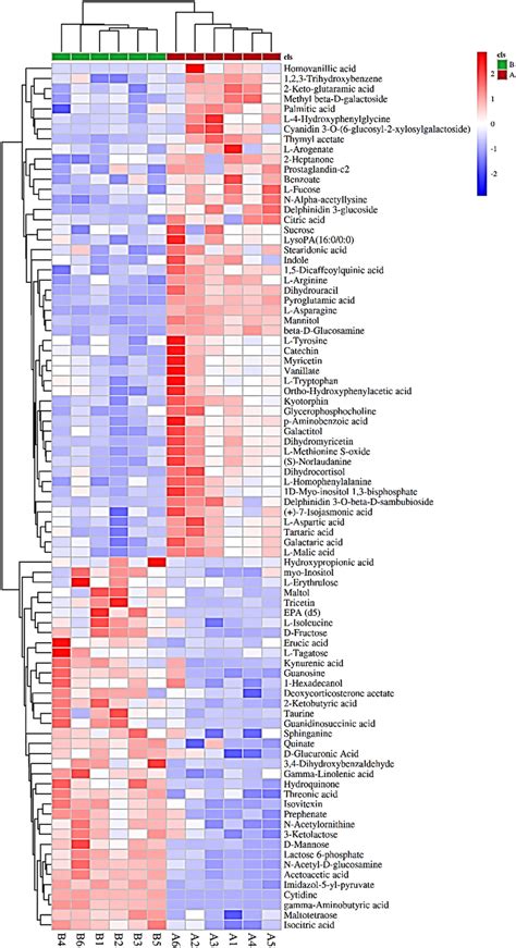 Heatmap Of Hierarchical Clustering Analysis Of Differential Metabolites