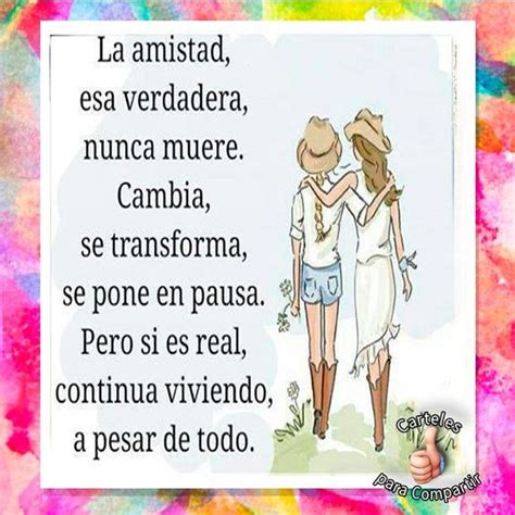 Más de 60 frases de amistades verdaderas cortas y largas para dedicar