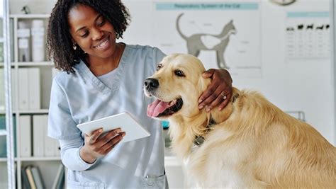 How Much Does A Vet Tech Make A Year SoFi