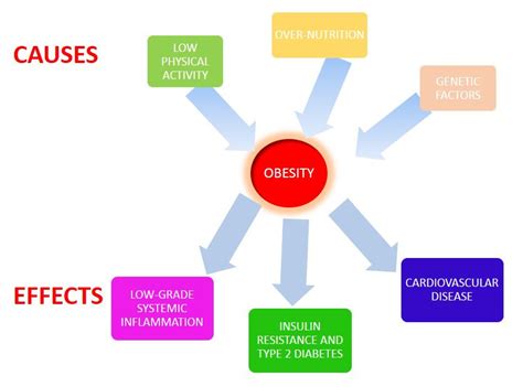 What Causes Obesity The Main Factors Causes Of Obesity In The U S