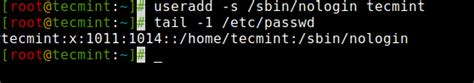 Useful Useradd Commands With Examples In Linux Tech Tribune France