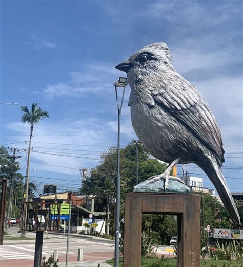 Avistamiento De Aves Por Las Esculturas Que Les Rinden Homenaje En La