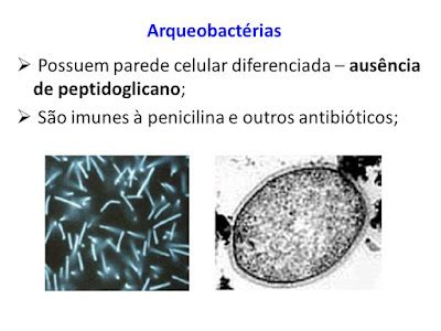 Arqueobactérias Biologia A ciência da vida