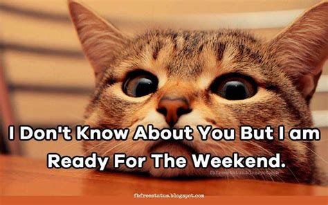 I Don T Know About You But I Am Ready For The Weekend Happy Weekend