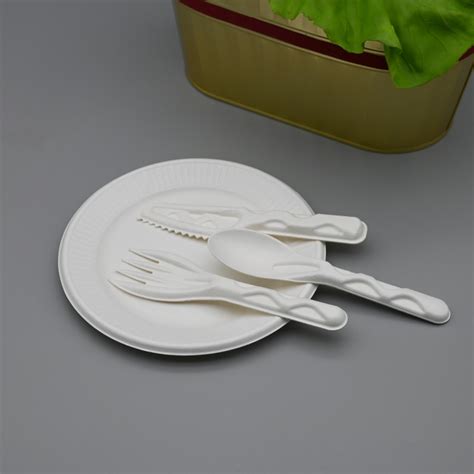China Biodegradable Compostable Bagasse Sugarcane Pulp Spoon Fork Knife