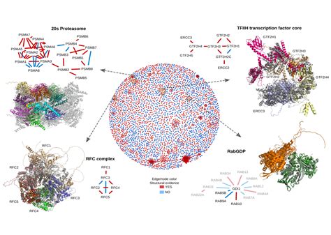 towards a structurally resolved human protein interaction network department of biology eth