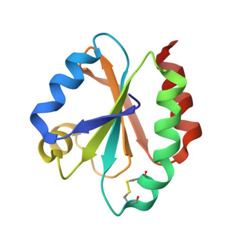 RCSB PDB 1GH2 Crystal Structure Of The Catalytic Domain Of A New