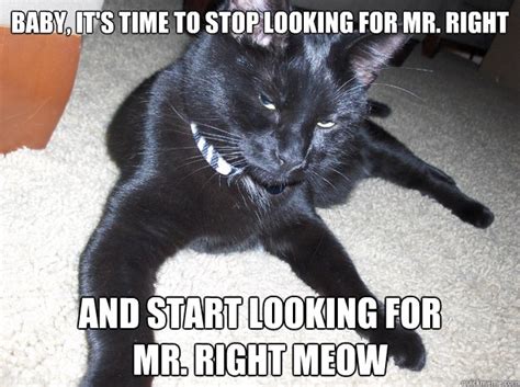 Funny Black Cat Meme