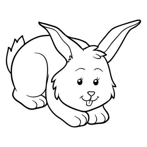 Conejo Dibujos Para Colorear Animales Domesticos Páginas Colorear