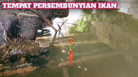 Mancing Ikan Nila Pas Waktu Nya Ikan Kelaparan YouTube