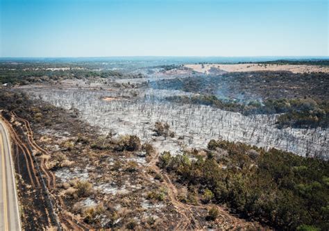 Rescaldo dos incêndios no Texas vítimas e destruição em grande escala