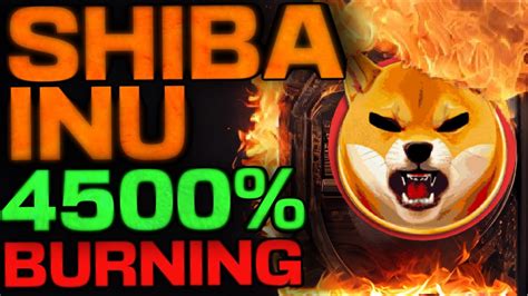 WHAT JUST HAPPENED 4500 OF SHIBA INU BURNING BEFORE SHIBARIUM YouTube