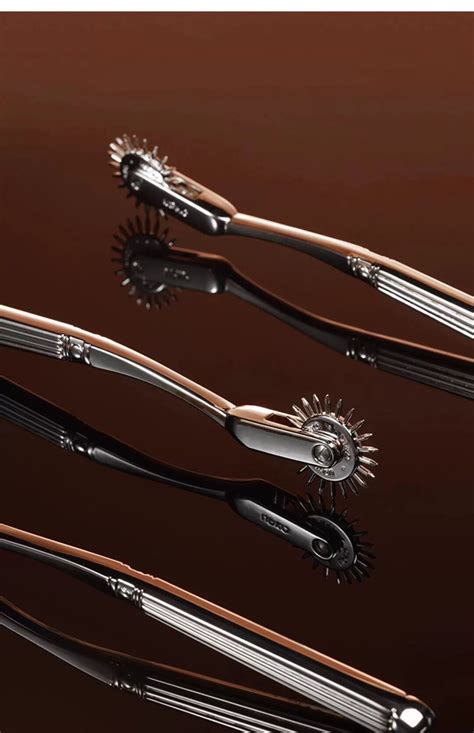 BDSM Pin Wheel Flirting Fondling Foreplay Sensation Play Rolling Thorn