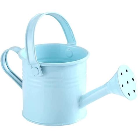 Arrosoir en Fer Forgé Bleu Arrosoir Portable pour Plantes d Intérieur