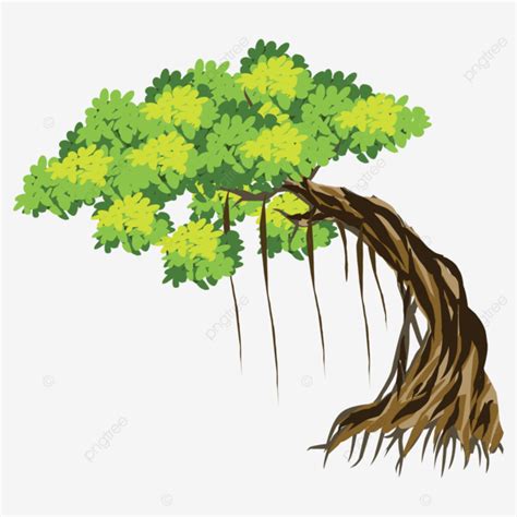 Illustration Of A Banyan Tree Banyan Tree Botany PNG And Vector With