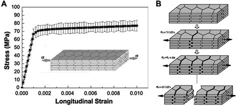 A Typical Stress Strain Curve Of Nacre B Schematic Illustration Of