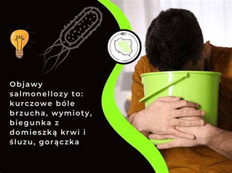Salmonella objawy i leczenie zatrucia Jak się przed nią uchronić
