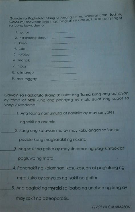 Guys Pasagot Naman Need Na Ng Kapatid Ko Ngayon Plss Maki Ayos Ng Sagot