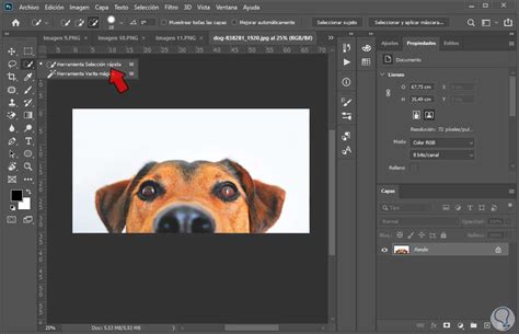 El Top 48 Quitar Fondo De Imagen Abzlocal Mx
