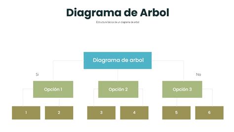 Diagrama De Arbol Definicion Usos Simbologia Elaboracion Images The