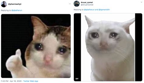 Crying Cat Meme Generator Our Meme Creator Has Over 400 Flexible