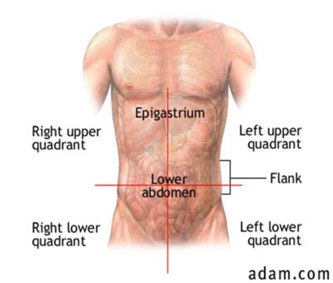 H P Examination Of The Abdomen Flashcards Quizlet