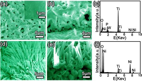 SEM Surface And Cross Sectional Morphologies Of PEO Coating D E SEM