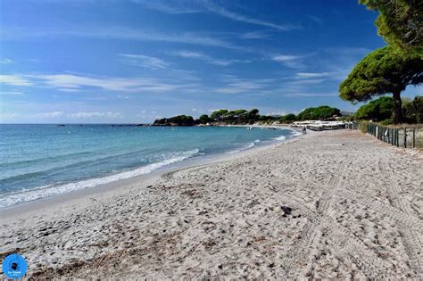 La Plage De Palombaggia En Corse Palombaggia Porto Vecchio Plage