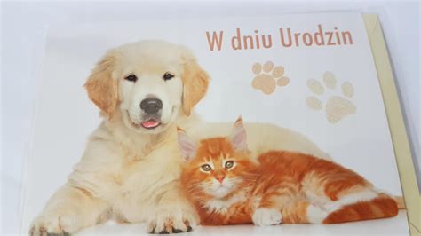 Kartka Życzenia Pies Kotek Urodziny topkids26 Ceny i opinie Ceneo pl