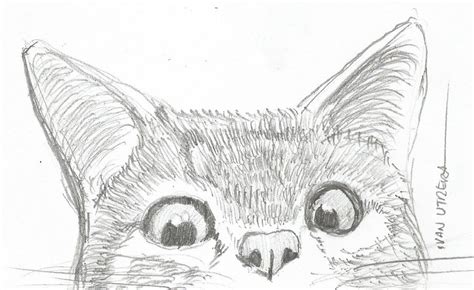 Gato A Lapiz Doodles Bonitos C Mo Dibujar Cosas Esbozos