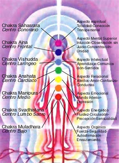 Centro Armonía LOS CHAKRAS