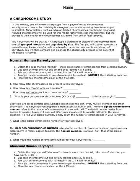 Biology Karyotype Worksheet Answers Key Pro Worksheet