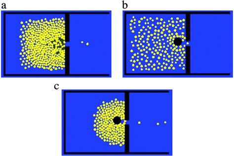agent based modeling methods and techniques for simulating human systems pnas