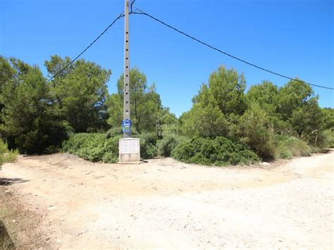 Comprar Terreno R Stico Zona Cala Morell Ciutadella Menorca