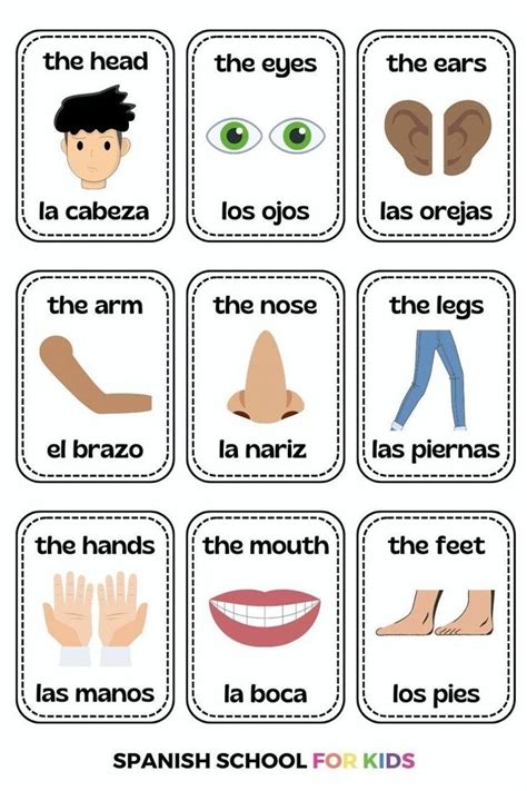 Body Parts In Spanish 7 Engaging Spanish Vocabulary Activitie En
